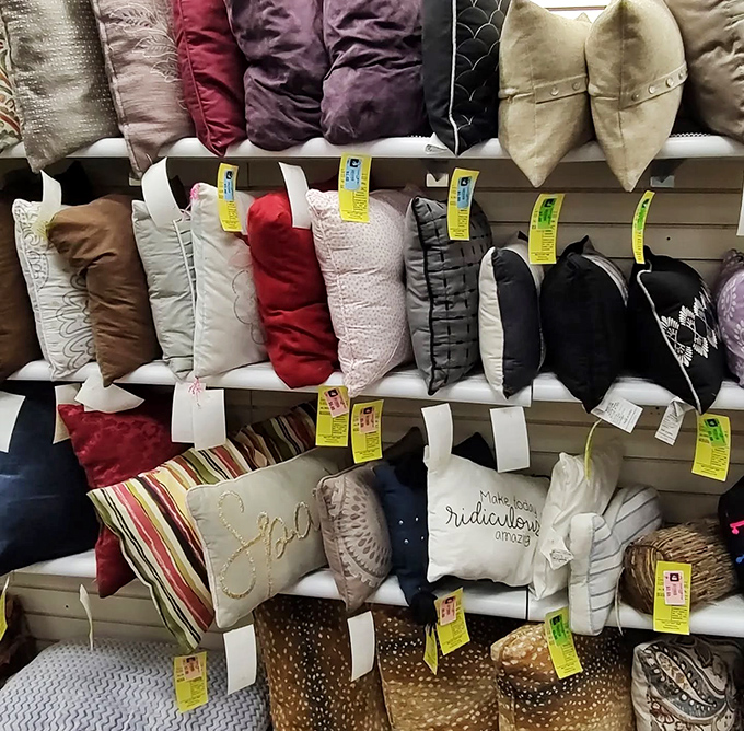 Throw pillows in every color imaginable promise to transform any living space into cozy paradise.