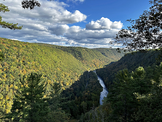 The Pennsylvania Grand Canyon reveals itself in layers of green, with Pine Creek carving its signature below. Nature's architecture at its finest.