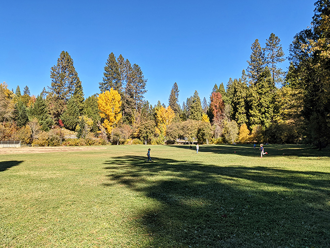 Pioneer Park's sprawling green space invites impromptu picnics and lazy afternoon naps. The perfect antidote to doom-scrolling and inbox anxiety.