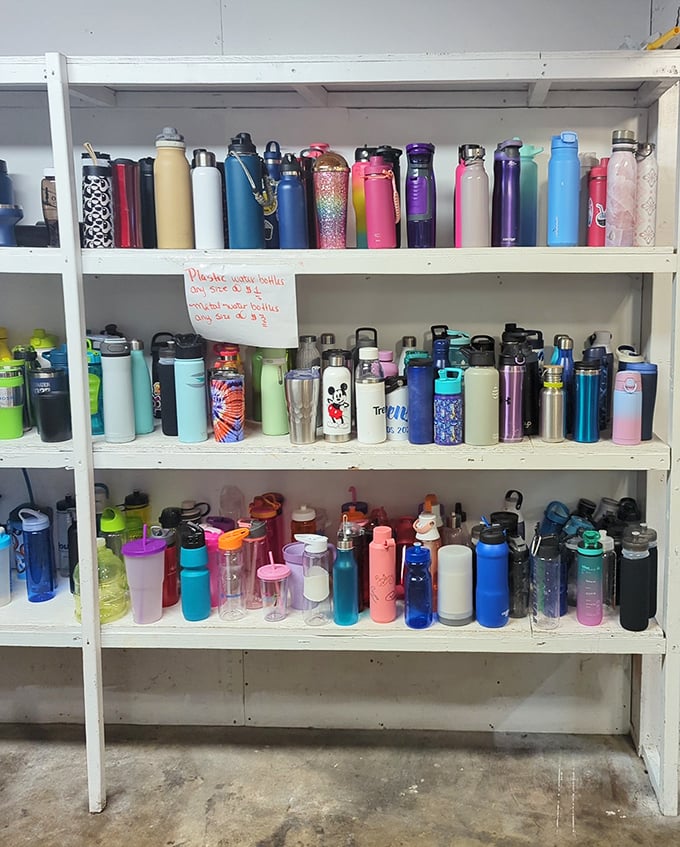 A rainbow of hydration options! These water bottles have stories to tell—from abandoned gym memberships to corporate retreats of yesteryear.