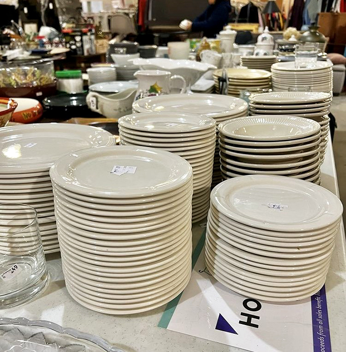 Ceramic treasures line shelves like artifacts from domestic adventures past and future.