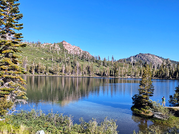 Lakes in Plumas National Forest reflect the mountains with such clarity, you'll wonder if Mother Nature is showing off just for you.