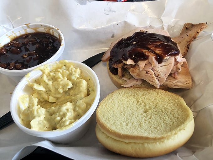 This pulled pork sandwich isn't just a meal, it's an event. The potato salad looks like it's been practicing for this moment its whole life.