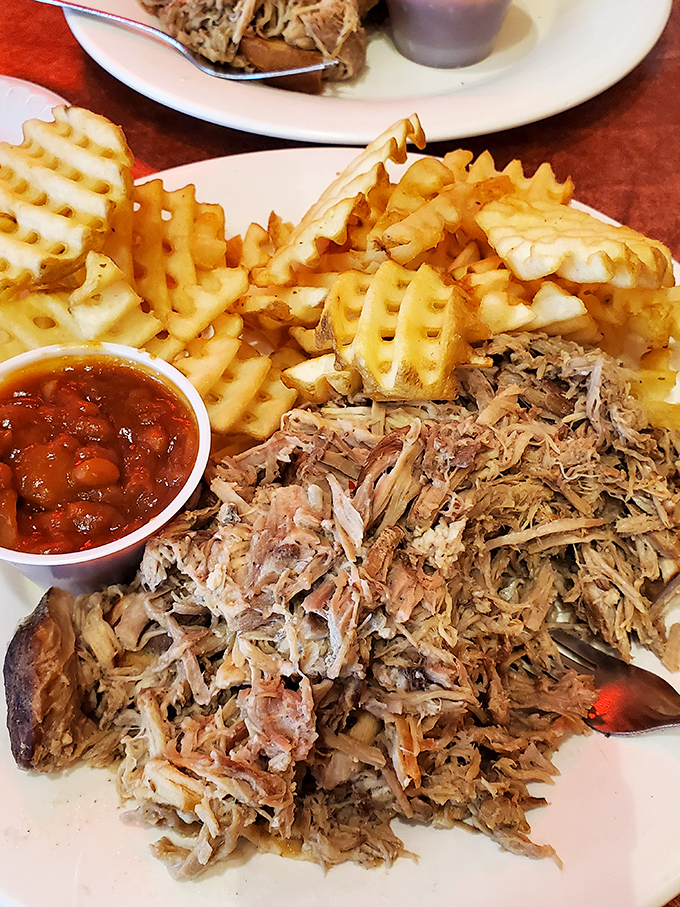 Pulled pork so tender it surrenders without a fight, accompanied by waffle fries that steal the show.
