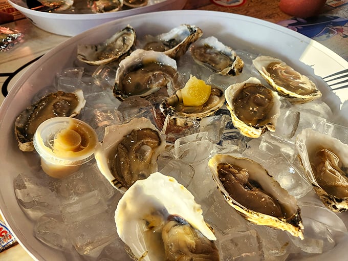 Raw oysters on ice—nature's perfect appetizer. Just a squeeze of lemon and suddenly you're having a moment of seafood enlightenment.