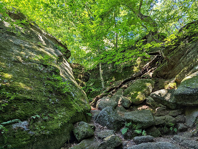 Nature's ultimate stairmaster. These ancient rock formations create a geological jungle gym that makes you feel simultaneously tiny and adventurous.