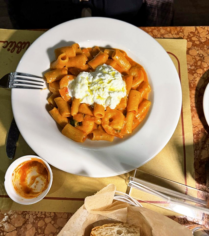Rigatoni tubes standing at attention in vibrant sauce, topped with a cloud of ricotta that melts into the pasta like a beautiful dairy dream.