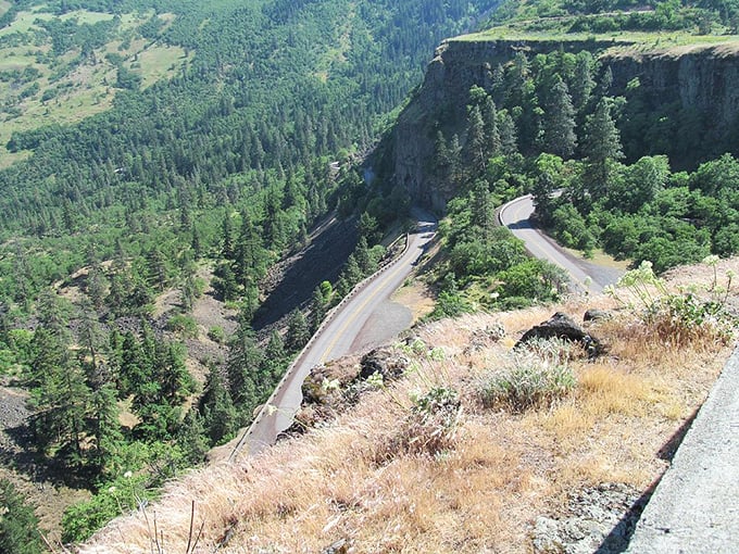 Those hairpin turns at Rowena Crest weren't designed for speed demons, but for those who understand life's best views require slowing down first.