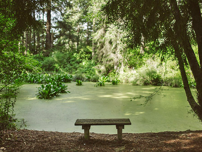 Nature's meditation room&mdash;Russ Park's tranquil pond invites visitors to sit awhile and forget they ever owned a smartphone.