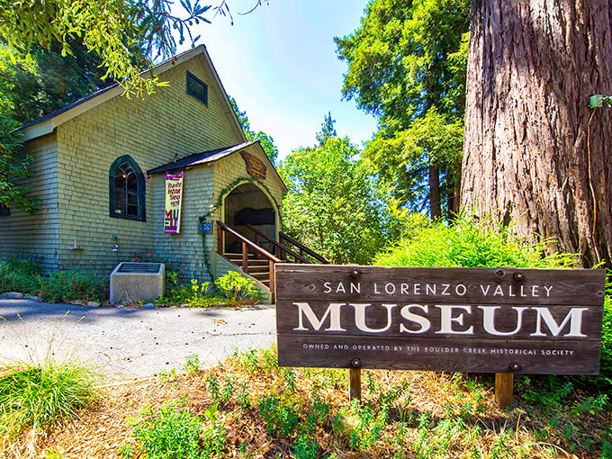 The San Lorenzo Valley Museum, where local history lives among the redwoods, proving the past doesn't have to be stuffy to be significant.