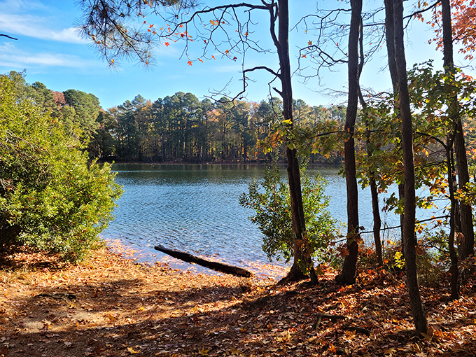 Sandy Bottom Nature Park offers that "I can't believe this is minutes from downtown" tranquility where autumn leaves paint the water's surface.