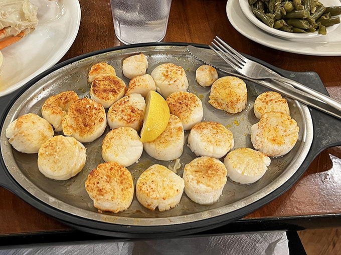Perfectly seared scallops arranged like edible poker chips, ready to cash in on flavor with just a squeeze of that lemon.