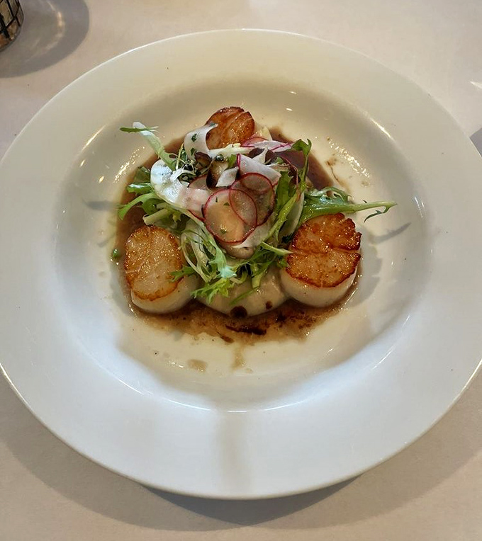 Pan-roasted scallops with perfect caramelization tell you everything about this kitchen's philosophy: simple perfection is the hardest kind to achieve.