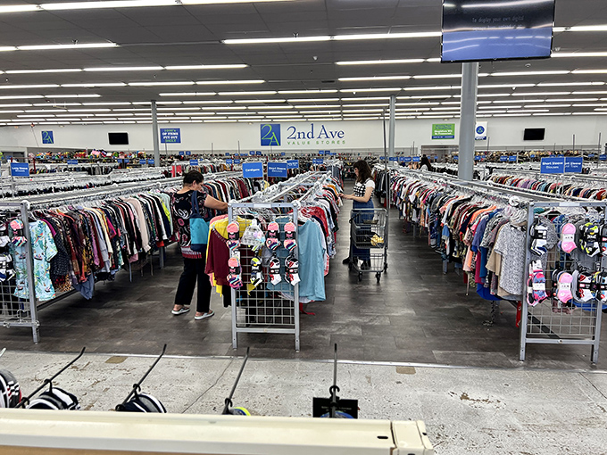 Fellow treasure hunters on safari, stalking the elusive perfect find through the wilderness of wonderful deals.