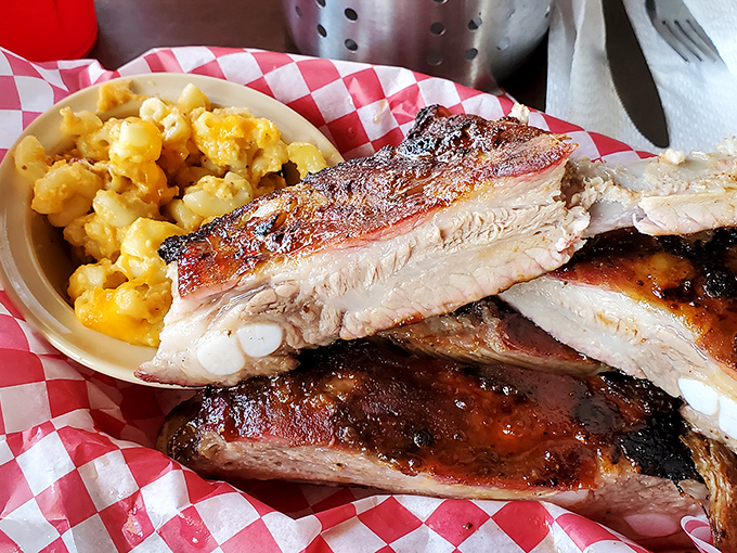 Ribs so tender they practically surrender at the sight of your fork, paired with mac and cheese that could make a grown person weep with joy.