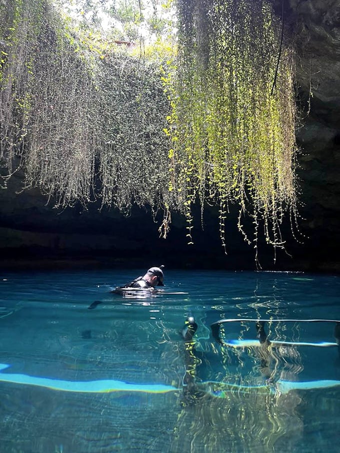 Snorkeling beneath cascading vines and filtered sunlight feels like swimming through a scene from "Avatar"&mdash;Florida's version of Pandora.