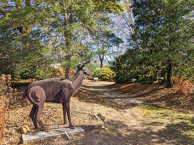 Art meets nature along this woodland path, where a metal deer stands eternally vigilant, perhaps waiting for the perfect Instagram moment.