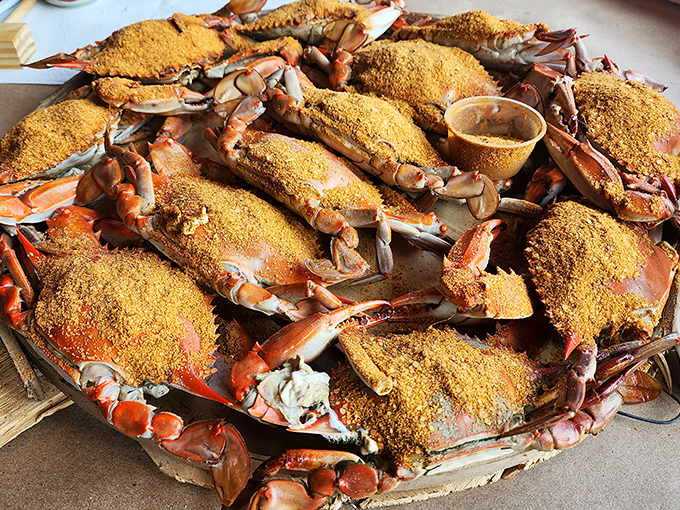 Maryland blue crabs wearing their Old Bay coats with pride. It's the seafood equivalent of a group photo where everyone actually looks good.
