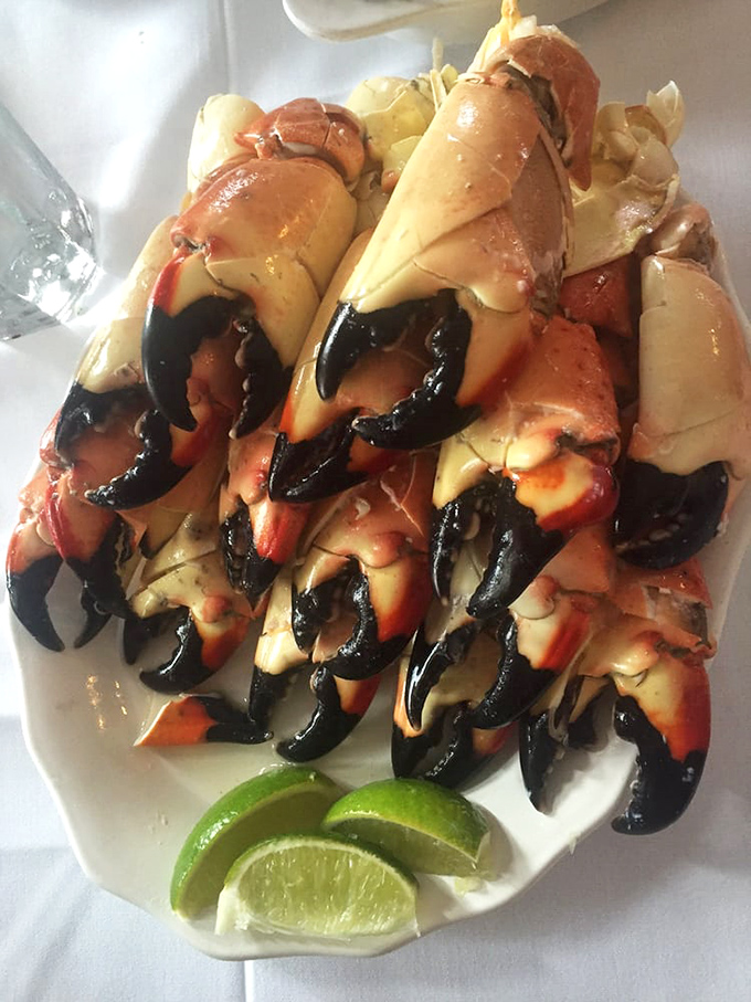 Stone crab claws arranged like a culinary crown jewel, with those black-tipped beauties just waiting for their mustard sauce baptism.