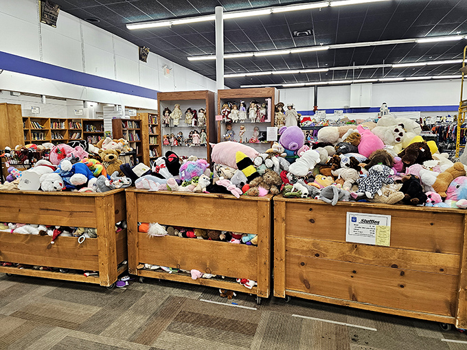Stuffed animal nirvana! These wooden bins overflow with plush companions seeking second homes&mdash;each with a story and only slightly loved.