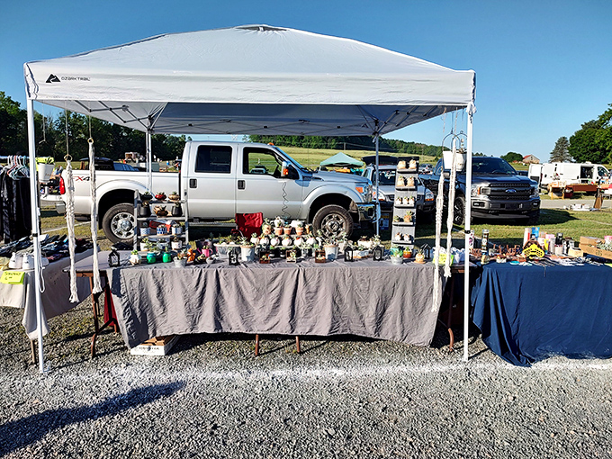 Pop-up shops under Pennsylvania skies. This vendor's setup transforms an ordinary parking lot into a bazaar of possibilities.