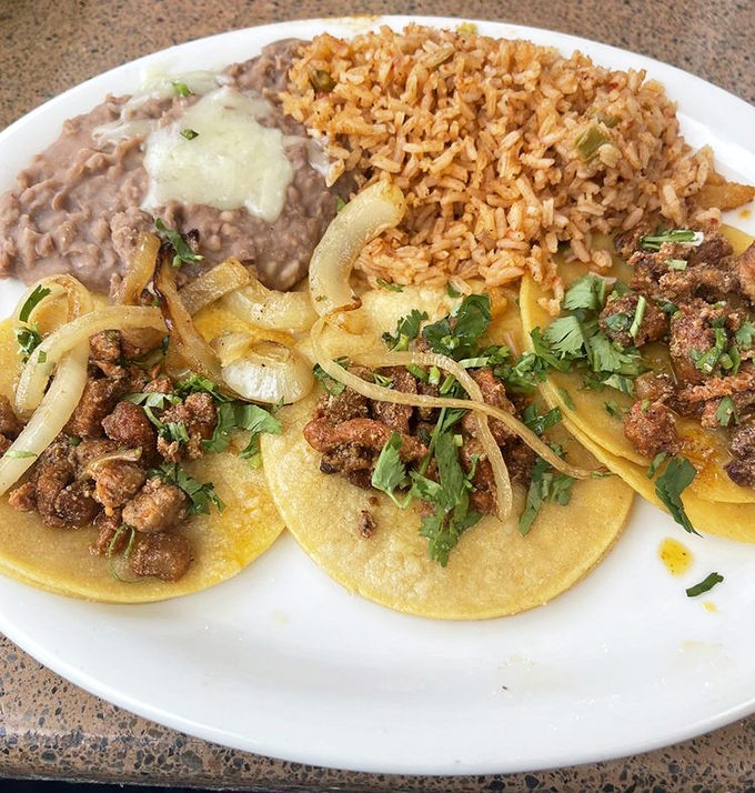 These tacos don't need Instagram filters – they're showing off naturally with perfectly seasoned meat, fresh cilantro, and handmade tortillas.