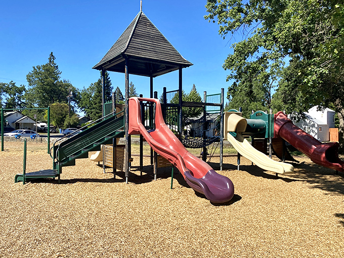 Remember when playgrounds didn't look like they were designed by safety engineers with anxiety disorders? Todd Grove Park keeps that spirit alive.