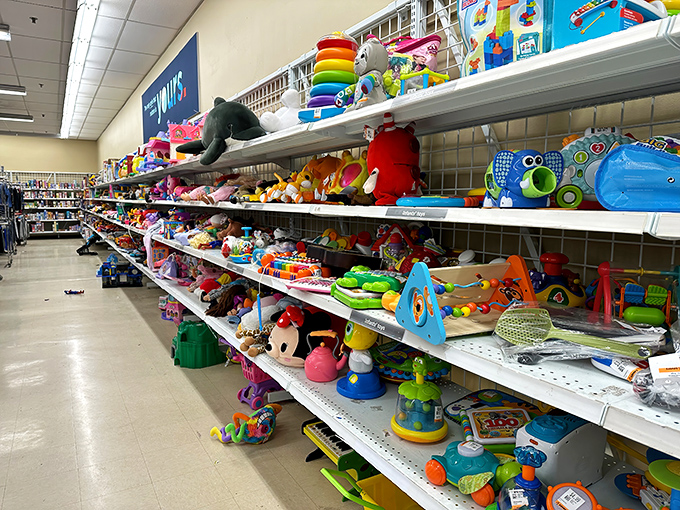 A colorful chaos of childhood memories lines these shelves. Each stuffed animal and plastic toy holds stories from its previous life.