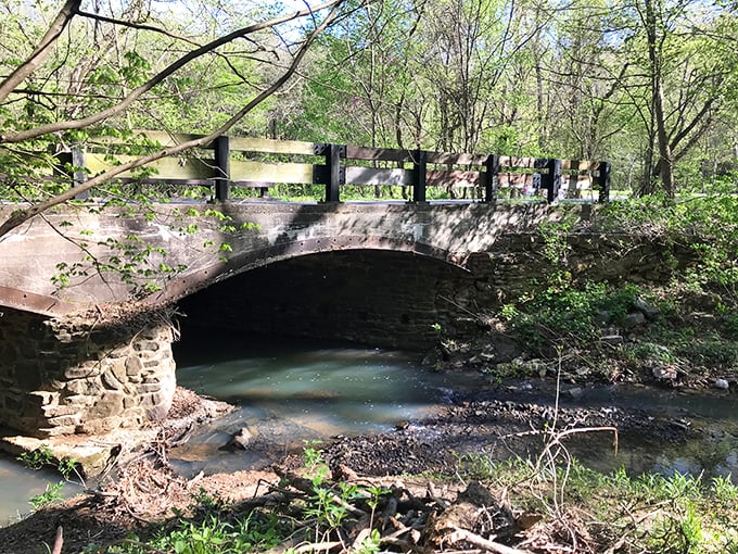 Trillium Trail winds through forests so green and lush, you'll swear you've stumbled into a fairy tale.