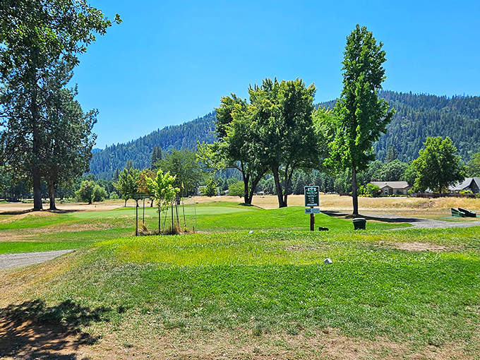 At Trinity Alps Golf Course, your slice might be terrible, but at least the view will be spectacular. Who needs a good score with scenery like this? 