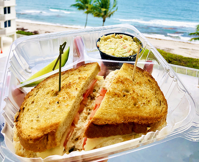 Beach views make everything taste better. This perfectly toasted sandwich enjoys oceanfront real estate, proving that takeout can still be a vacation-worthy experience.