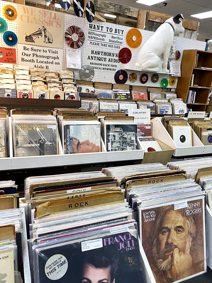 Vinyl heaven for analog souls. Each record sleeve tells a story, and somewhere in these bins, your teenage anthem is waiting to be rediscovered.