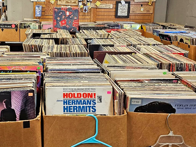 Crate-digging heaven for music lovers. Each cardboard box holds potential sonic revelations&mdash;from Herman's Hermits to hidden gems.