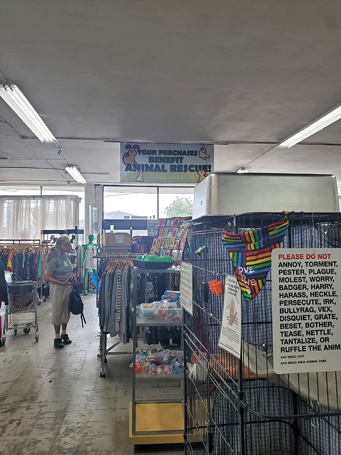 Shopping with a purpose: Every purchase helps furry friends find homes. That vintage lamp isn't just lighting up your room—it's brightening an animal's future.