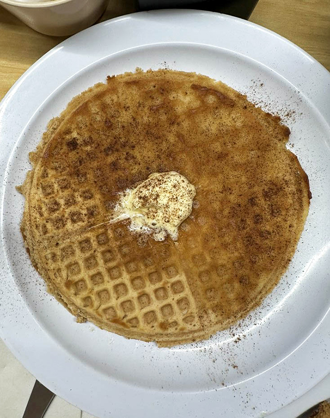This waffle achieves the perfect balance of crispy edges and fluffy center that dreams are made of.