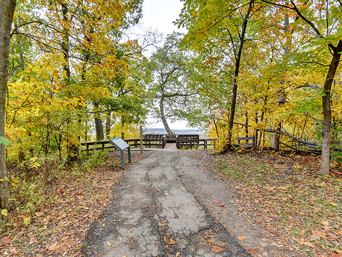 Fall foliage creates a golden canopy at Weston Bend State Park. The path less traveled sometimes leads to the most spectacular Missouri River views.