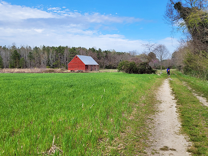 That red barn against emerald fields isn't just picturesque – it's practically auditioning for the cover of "Virginia Living" magazine.
