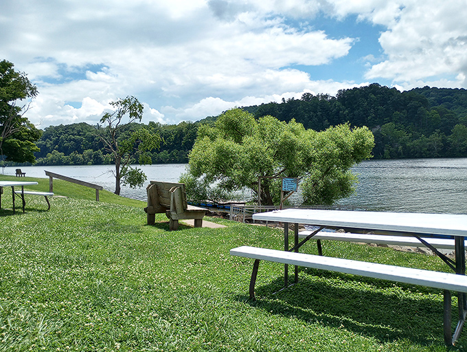 Lakeside picnic spots that make fast food drive-thrus seem like punishment. The view alone adds flavor to whatever's in your sandwich.
