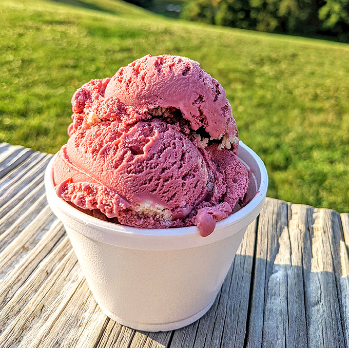 Strawberry ice cream that actually tastes like strawberries&mdash;a revolutionary concept in a world of artificial flavoring. Picnic table optional, but recommended.