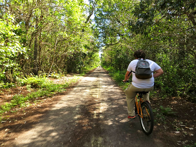 Cycling through Fakahatchee's shaded trails feels like pedaling through a living postcard. Nature's air conditioning at its finest.