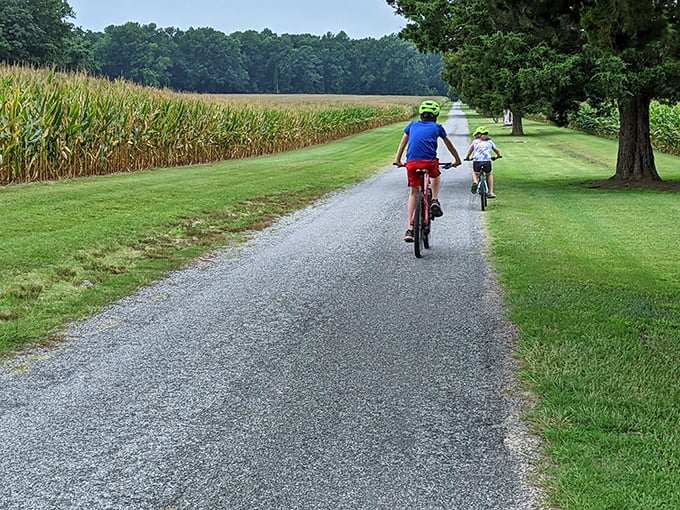 Cycling through history alongside cornfields taller than your childhood dreams. These paths offer the perfect blend of exercise and time travel.