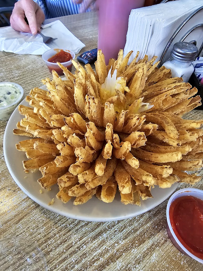 The blooming onion arrives like an edible firework display &ndash; crispy, golden petals radiating from the center, ready for their dipping sauce destiny.