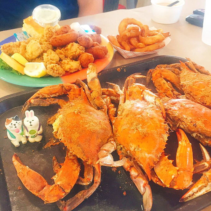 Steamed blue crabs arrive like spice-dusted treasures from the bay. Your white shirt doesn't stand a chance, but your taste buds will thank you forever.