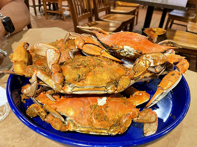 The Old Bay-dusted blue crabs aren't just dinner&mdash;they're an interactive experience that rewards patience with sweet, succulent meat.
