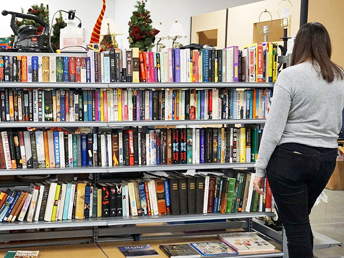 Books waiting patiently like old friends, each spine holding stories beyond what's printed inside.