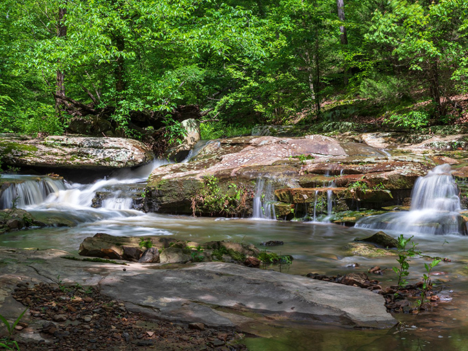 Buck Creek's gentle cascades prove that sometimes the most beautiful performances don't require a grand stage or expensive tickets.