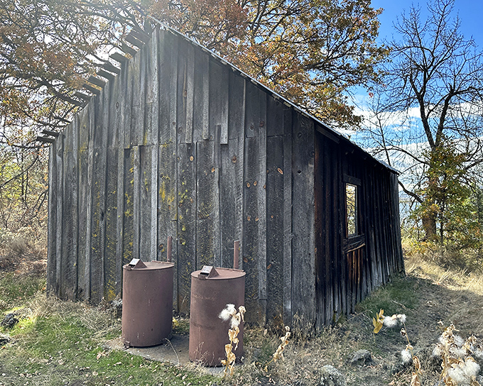 This weathered cabin has stories to tell. No room service here, just the rustic charm that Instagram filters try desperately to replicate.