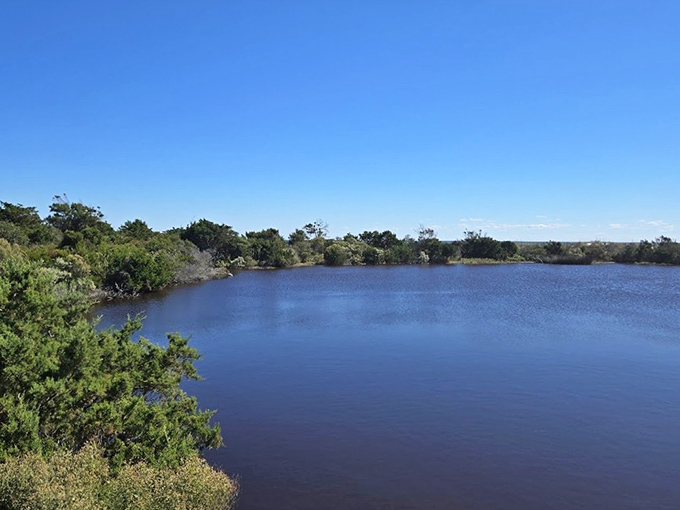 Serenity in blue. This tranquil lake view is nature's answer to meditation apps&mdash;no subscription required, just bring your own quiet thoughts.