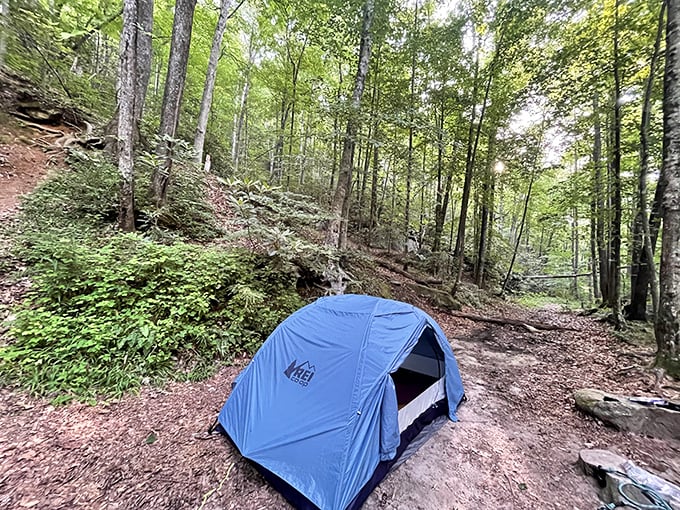 Home sweet wilderness home. This blue tent proves you don't need 500-thread-count sheets to have the best bedroom view in South Carolina.