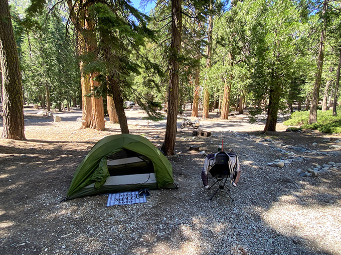 Camping nirvana achieved. This pine-scented slice of paradise proves that sometimes the five-star experience comes with no roof at all.